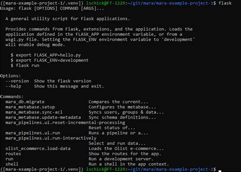 flask mara n interactively does not work · issue 25