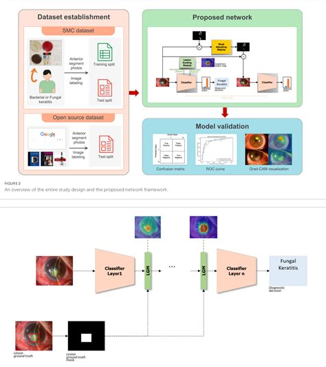 Figure 2 From Deep Learning Based Classification System Of Bacterial