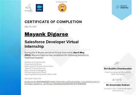 Happy To Announce That I Have Successfully Completed Salesforce Developer Virtual Internship