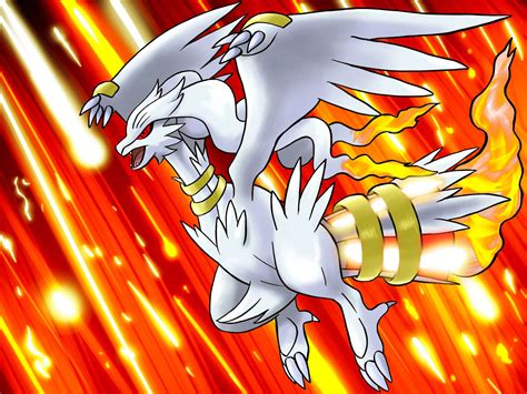 Reshiram Wallpaper