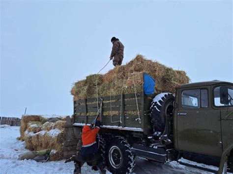 Өвөлжилт хүндэрсэн Дорноговь Төв аймгийн сумдад цэргийнхэн ажиллаж байна