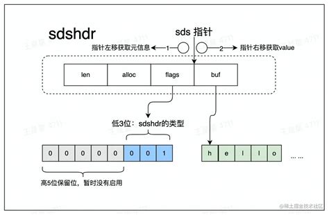 Redis 青训营介绍了redis的使用场景以及内部的一些数据结构，如string、hash、zset等，并且深入探 掘金