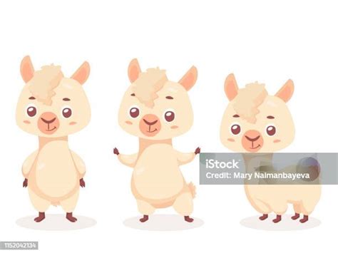 알파 카 만화 캐릭터 벡터 일러스트 레이 션 세트입니다 귀 엽 고 재미 있는 마스코트 개념에 대한 스톡 벡터 아트 및 기타 이미지 개념 개체 그룹 귀여운 Istock