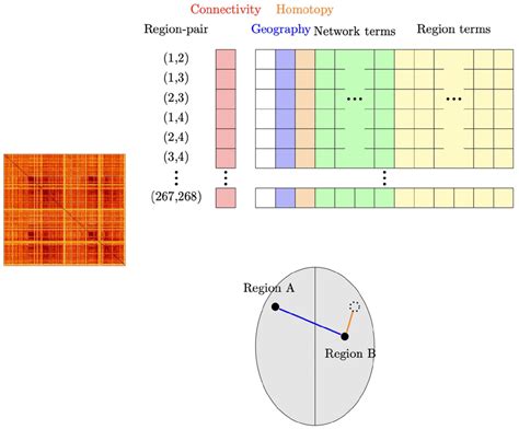 Figure 1 From Regression Models For Partially Localized Fmri Connectivity Analyses Semantic