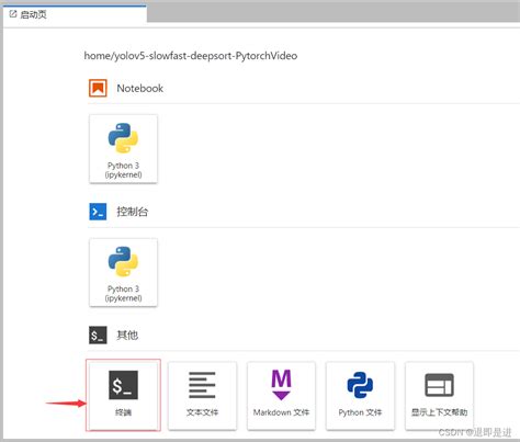 在autodl中复现yolov5 Deepsort（自学习）deepsortyolov5项目复现 Csdn博客