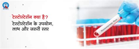 टेस्टोस्टेरोन क्या है उपयोग लाभ और जरूरी स्तर पूरी जानकारी