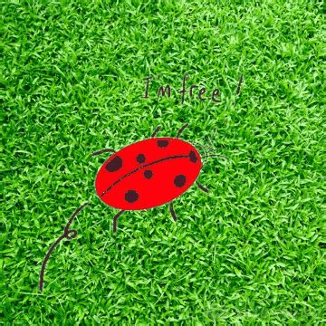 How To Remove The Background From A GIF Unscreen Com Blog