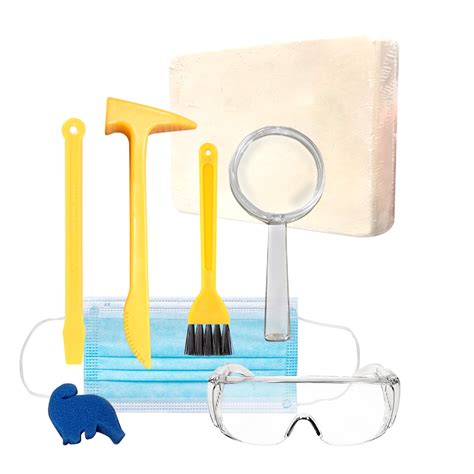 Beginner Level Deluxe Steam Stem Kit Hamiltonbuhl