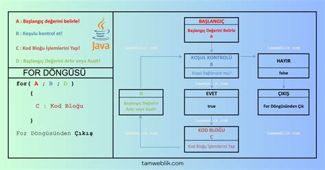 Javada Döngüler For Döngüsü For Loop Tam Weblik