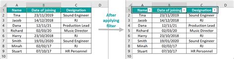 Auto Filter In Excel What Is It Example How To Use Automatic Filter