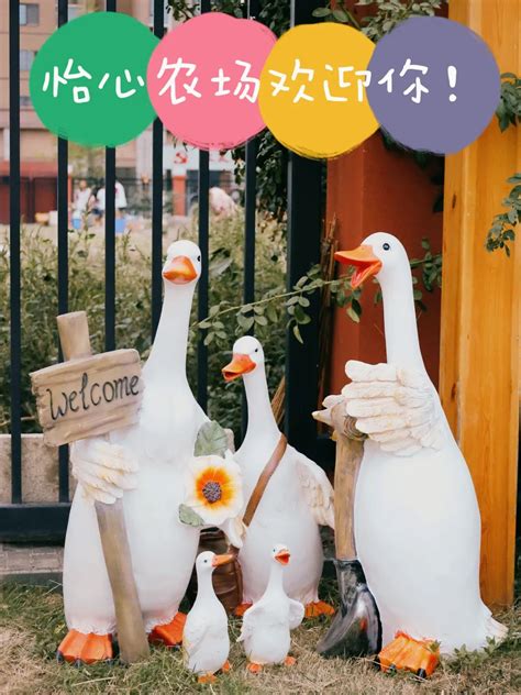 风吹稻谷香·稻田鱼儿泥鳅忙——怡心第一实验学校“怡心农场”劳动教育纪实