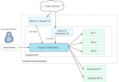 Anypoint Datagraph Hosting Options And Networking Mulesoft Documentation