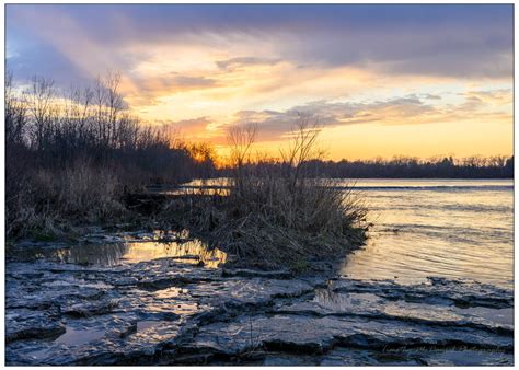 Timothy Mcdaniel Photography
