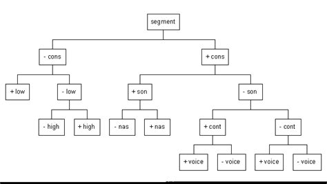 Sonority Hierarchy Blevins 1995 211