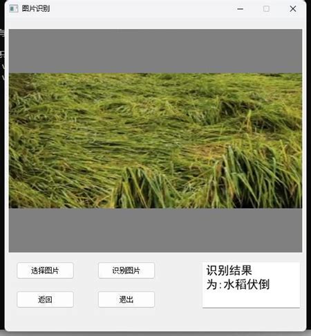 期基于python深度学习的水稻是否伏倒识别 含数据集 含数据集 CSDN博客