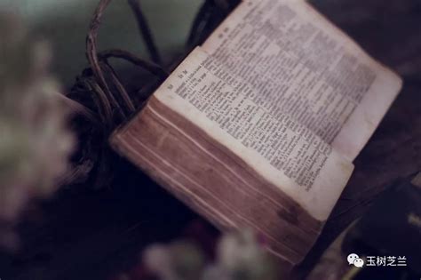 如何用 Python 和正则表达式抽取文本结构化信息？ Csdn博客