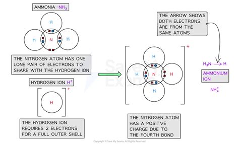 Coordinate Bonds Dp Ib Chemistry Revision Notes 2023