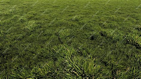 Premium Photo Green Grass Background 3d Rendering