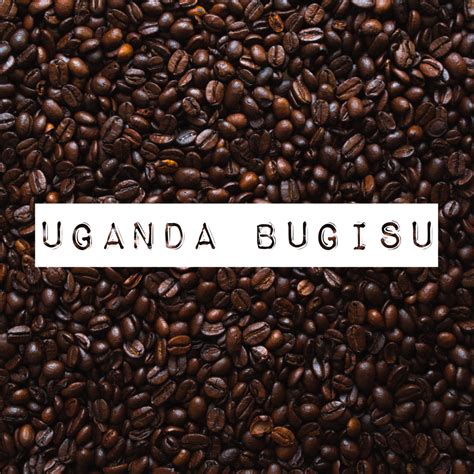 Uganda Bugisu Greencastle Coffee Roasters