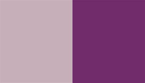 Color Pantone 7402 C Vs Pantone 7499 C Side By Side