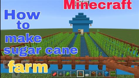 How To Make A Sugar Farm In Minecraft