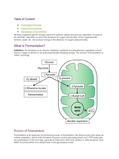 Cell Fermentation Process
