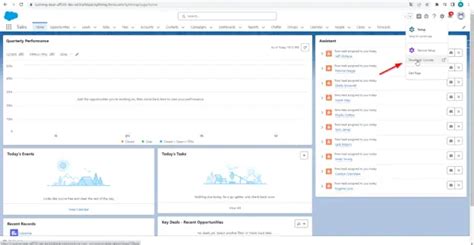 Tools Supporting The Work Of Manual Tester In Salesforce Projects