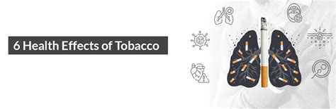 6 Health Effects Of Tobacco Ganesh Diagnostic