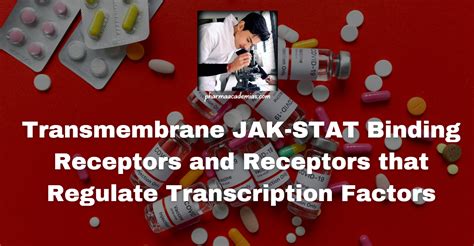 Transmembrane Jak Stat Binding Receptors Pharmaacademias