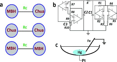 The Experimental Setup A Schematic Diagram Shows The Coupling Of Two Download Scientific