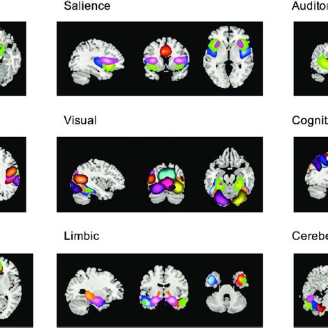 Functional Domains And Their Assigned Intrinsic Connectivity Networks Download Scientific Diagram