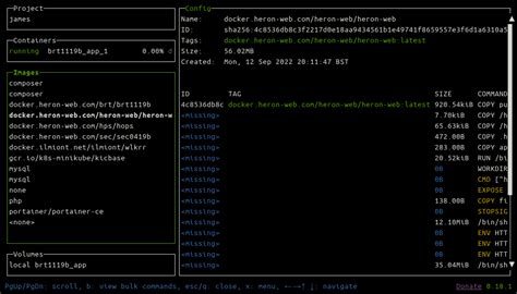 How To Manage Docker From Your Terminal With The Lazydocker Tui