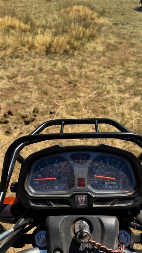 Bor Mendee Ulaanbaatar