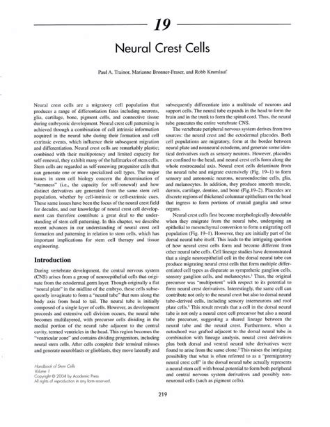 PDF Neural Crest Cells
