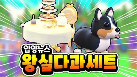 입양하세요 왕실다과세트와 신규펫 업데이트 소식이에요~ Youtube