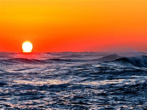 거리의천사들 올 한 해 함께 해주신 모든 봉사자와 후원자들께 진심으로 감사드립니다 ♧ 사랑합니다 축복합니다