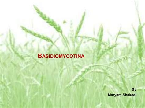 Basidiomycotina Pptx