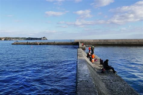 興津西港の釣り 房総タウン