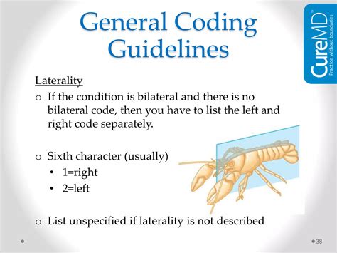 ICD Conventions And Guidelines PPTX