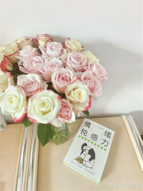 情绪钝感力 不要什么都往心里去只有这样你才能走得长远 知乎