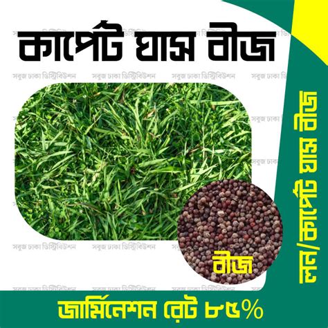 Imported Lawn Grass Carpet Grass Seeds Re Pack Imported 2gm Daraz