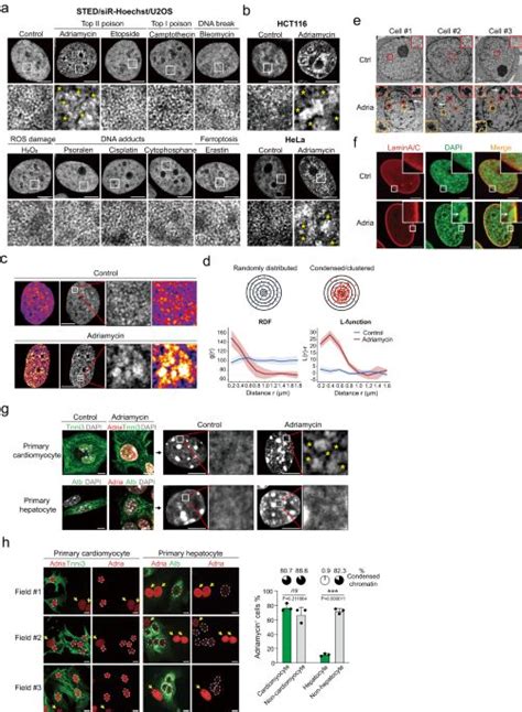 John Jenco On Linkedin Chemical Induced Phase Transition And Global Conformational Reorganization…