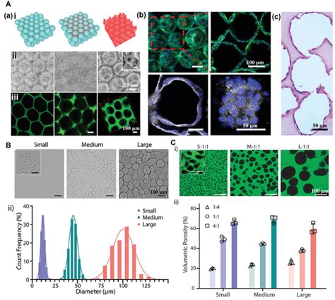 Fabrication Of Microporous Hydrogels Via Microparticle Sacrificial