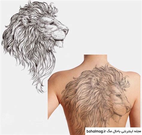 طرح تاتو شیر ️ بهترین تصاویر