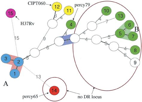 Minimum Spanning Tree Analysis And Comparison With The Other Download Scientific Diagram