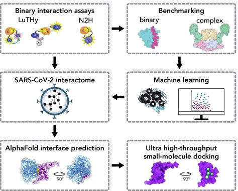 Ai Powered Protein Protein Interaction Drug Discovery Pipeline Yields A Promising Sars Cov 2