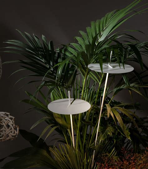 Xana Lightco