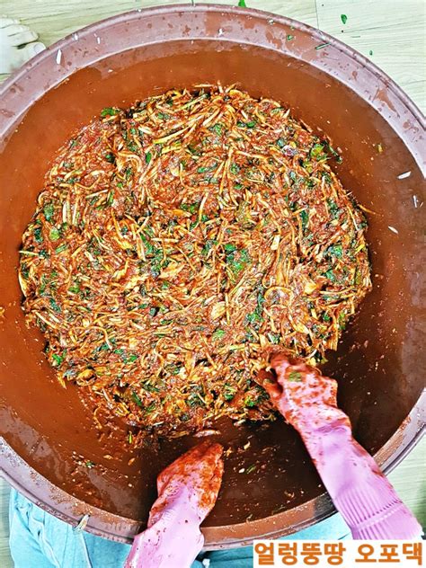 김장김치 양념 비율 배추 30포기 생새우와 고춧가루 비율 네이버 블로그