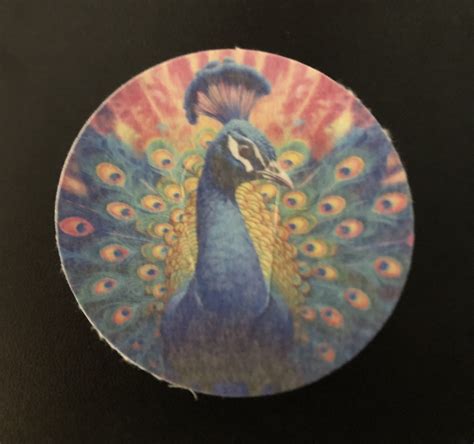 Peacock 2 Design Silly Patch A Silly Patch
