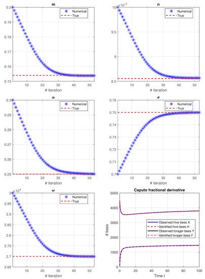 Fractal Fract Special Issue Fractal And Fractional Analysis In Biomedical Sciences And
